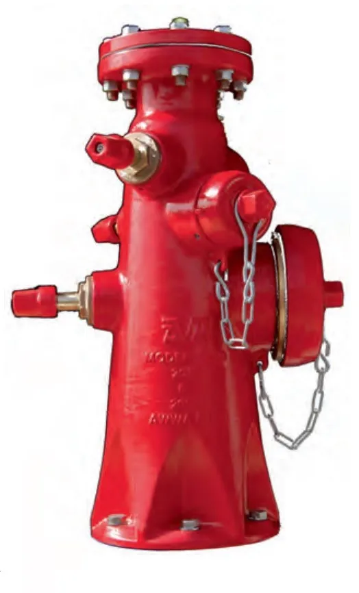 AVK Wet Barrel Fire Hydrant, 24/10, Monitor Connection, Cast Iron Caps