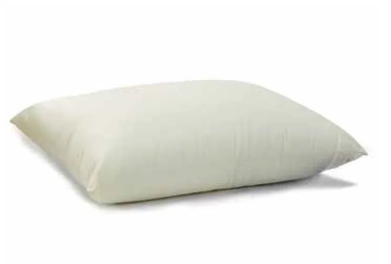The Pillow Factory Nylon Pillow 21X27, Beige, Full Plus Loft Level wit