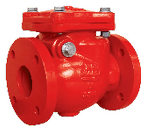 65MM Swing Check Valve, Grooved Ends, 300 PSI, AWWA C606, C550, FM App