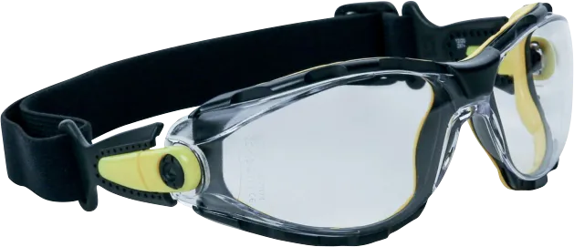 Delta Plus Anti-Fog Goggles with Dust Sealing - PACAYSTIN
