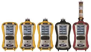 MultiRAE Series Multi Gas Detector